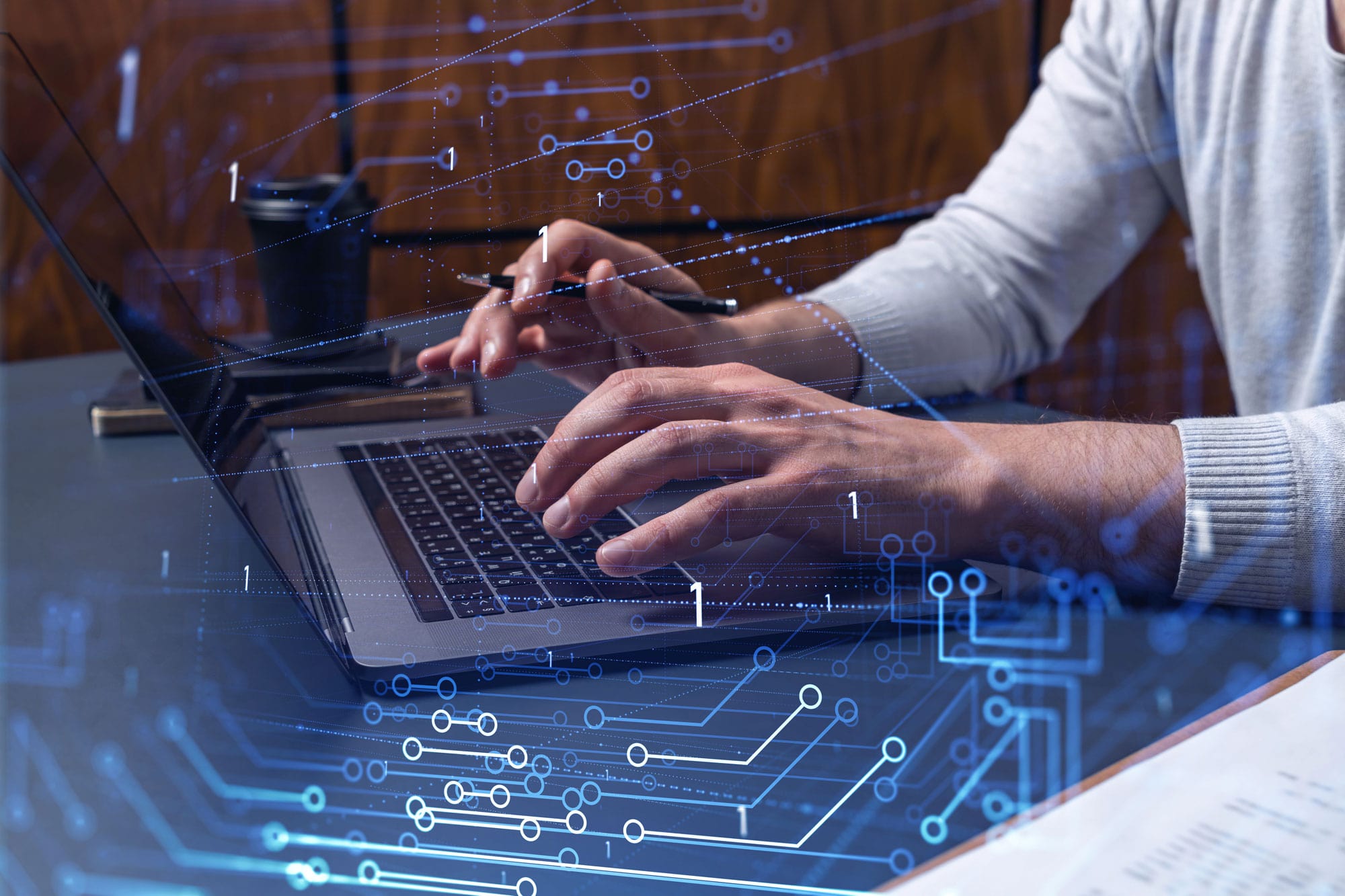 DESARROLLADOR DE SOFTWARE, NUEVO LEÓN - Tecnoap